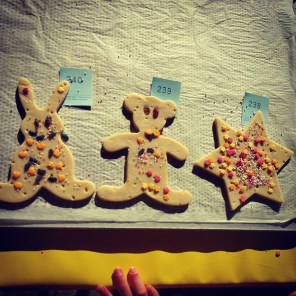 Wildpark en vrijetijdspark Klotten Cochem bij de Moezel. - Kreanimo